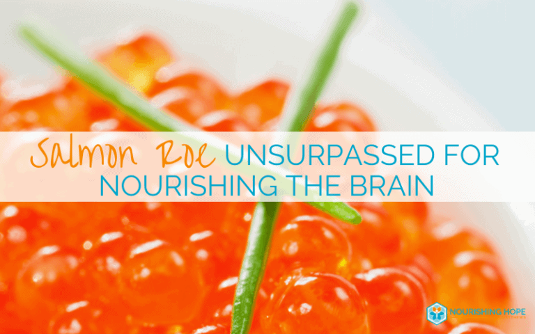 Salmon Roe - Unsurpassed for Nourishing the Brain - Nourishing Hope