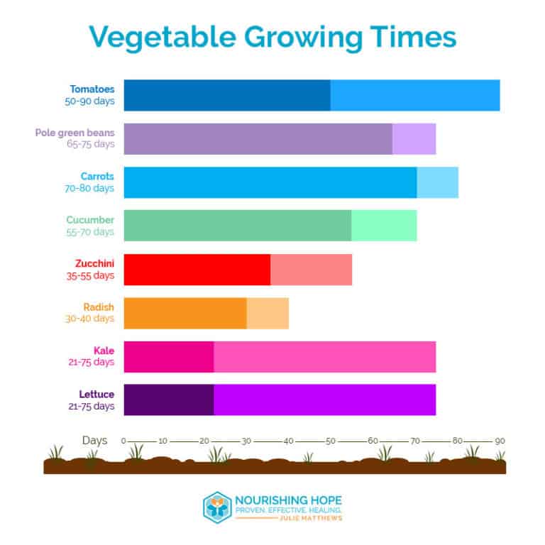 It’s Not Too Late To Start Your Garden - Nourishing Hope