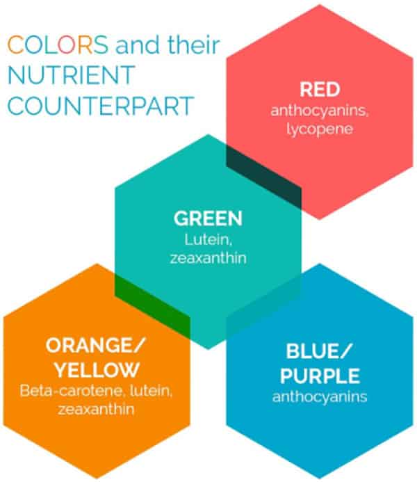 Fall Foods High in Vitamin A - Nourishing Hope